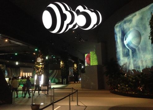 New indoor nature experience to debut in Dubai | The First Group